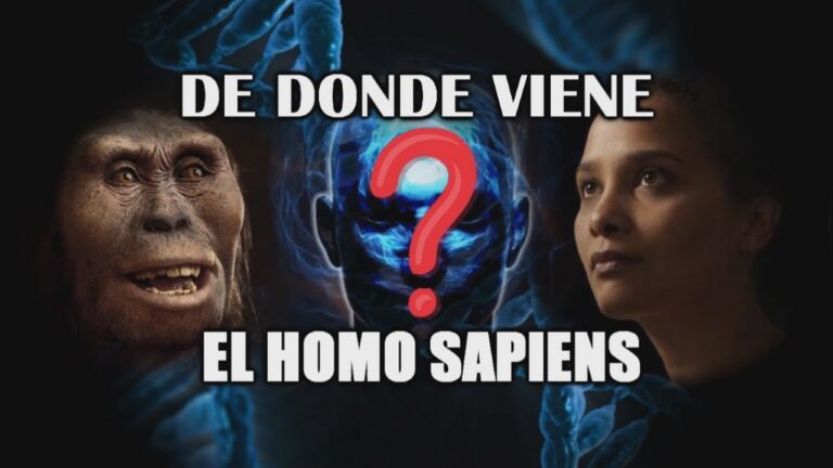 Inteligencia Humana: Explorando la Complejidad de la Mente Humana ...