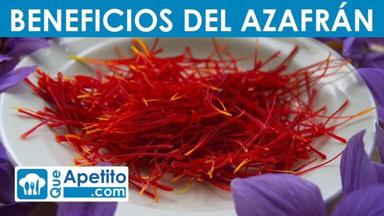 Cuál es la flor del azafrán: imágenes, características y curiosidades ...