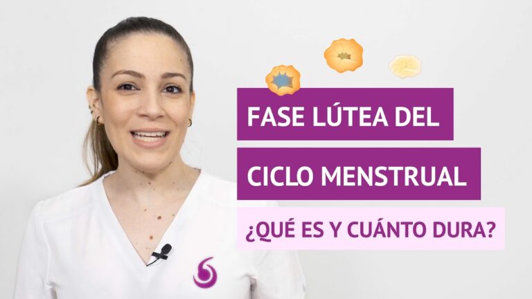 ¿Qué es la fase lútea en la mujer? Todo lo que necesitas saber sobre su ...